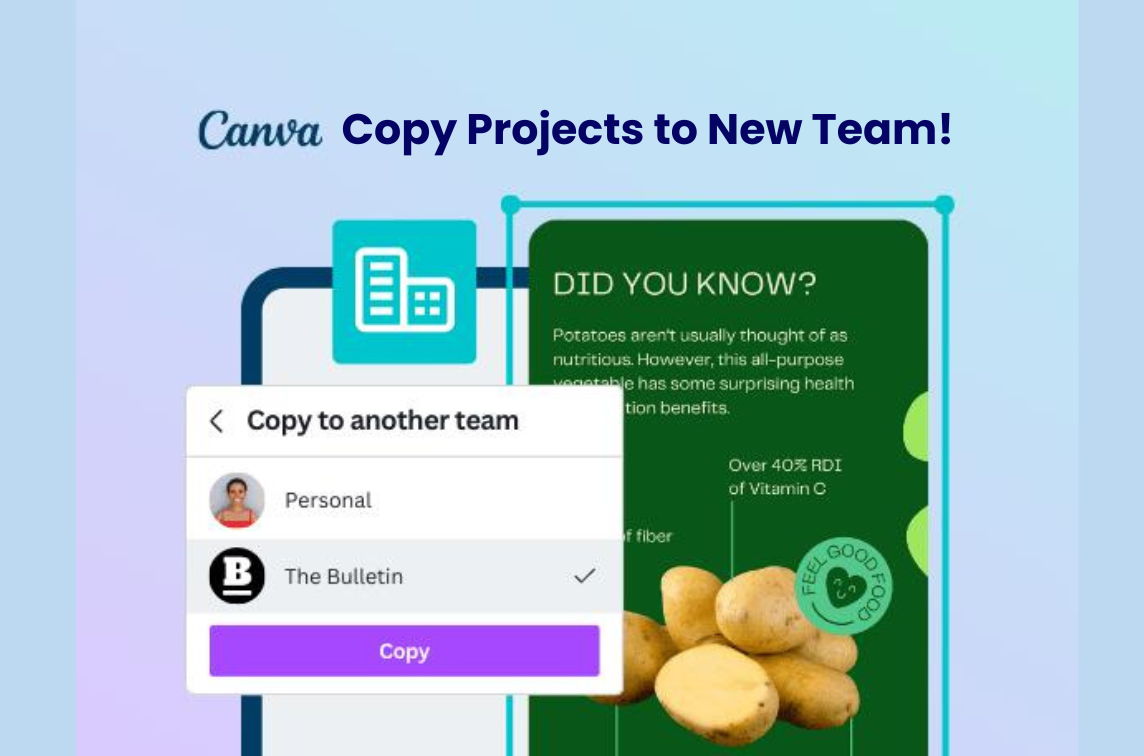 How to transfer Canva Project to Another Team or Account! - Synosky ...